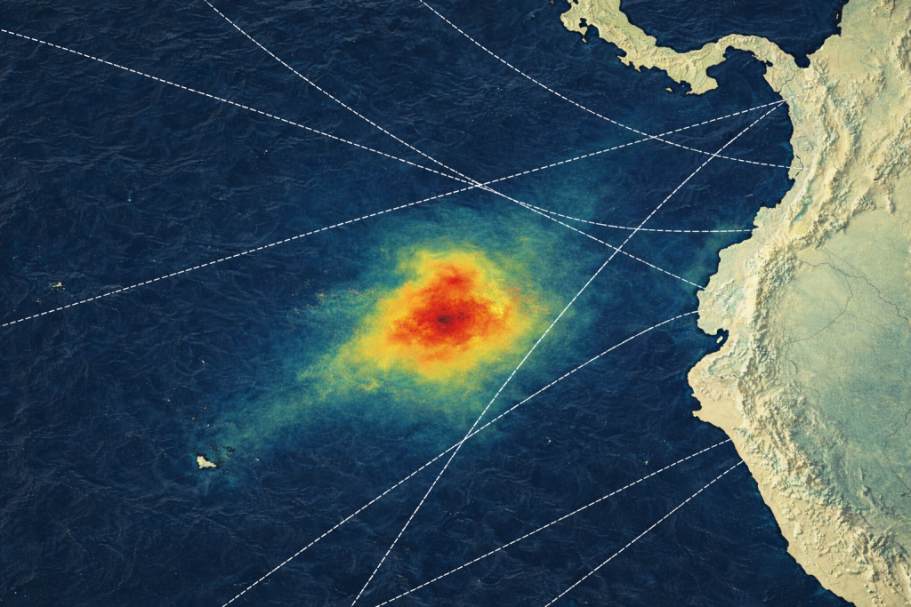 BBNJ Anlaşması Yürürlükte: Açık Denizlerde Koruma ve Termal Kubbe ...